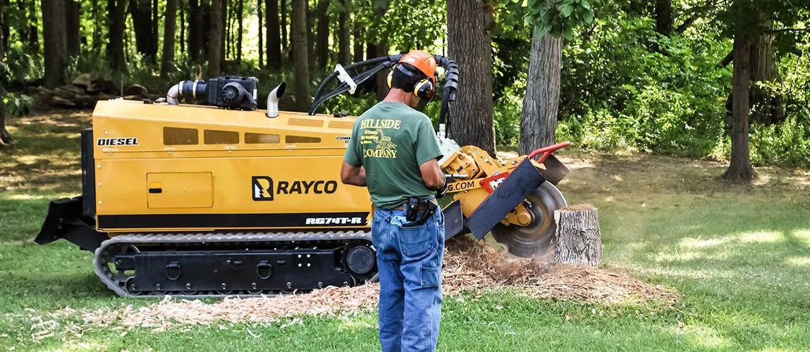 Rayco Forestry Mulchers – Earthborne Inc.